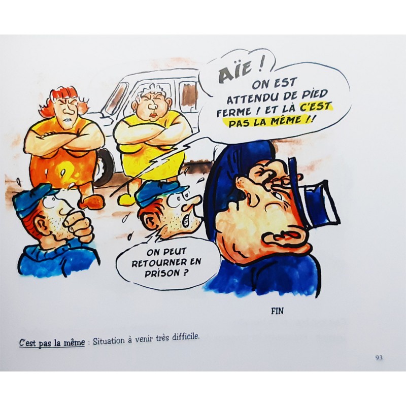 Les Expressions Savoyardes en B.D