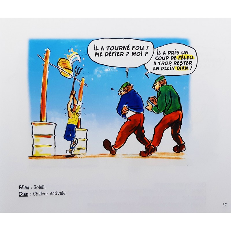 Les Expressions Savoyardes en B.D